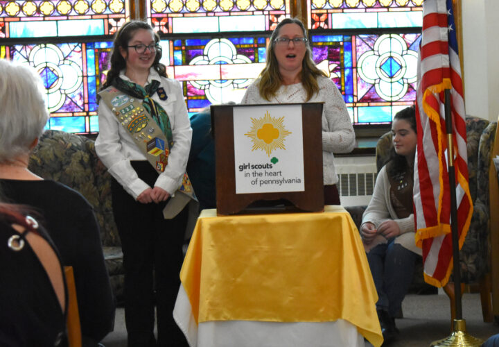 JS teen first to receive Gold Star Award for area Girl Scout Troop ...